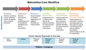 Malnutrition Care Process - MQii